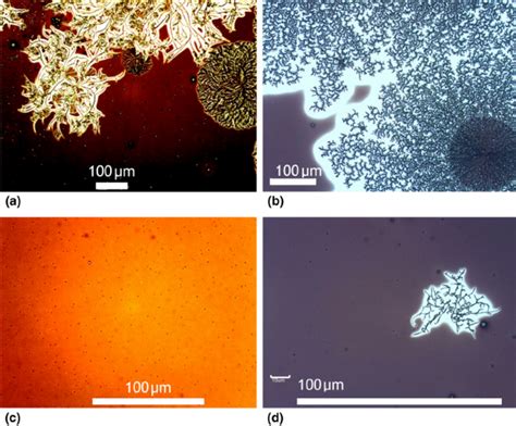 Polarized Optical Microscope Images Show Spherulite Formation In Download Scientific Diagram