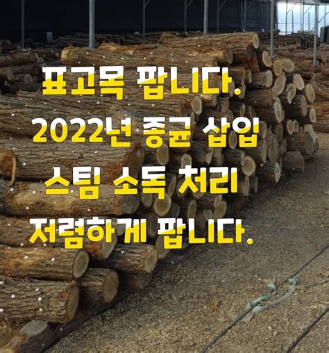 제목 표고버섯목 2022년 종균이 배양 스팀소독 된 표고목 저렴하게 판매 인천광역시 중구 사동 비즈프로필
