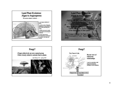 Pdf Land Plant Evolution Algae To Angiosperms Dokumen Tips