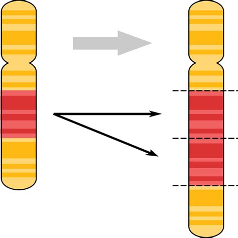 Duplication Figure Science Figures