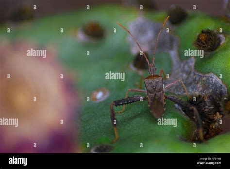 See Mineralbrunnen Texas Fotos Und Bildmaterial In Hoher Auflösung Alamy