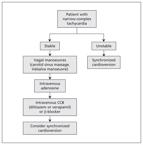 Supraventricular Tachycardia Algorithm The Supraventricular