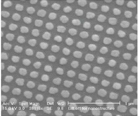 A SEM Images Of The AuNP Array B Sketch Of The Side View Of AuNP