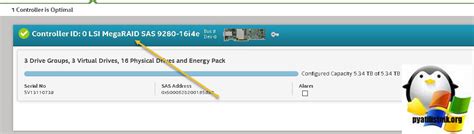 Установка LSI Storage Authority Software реинкарнация MSM Настройка серверов windows и linux
