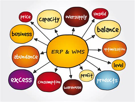 How Wms Extends Erp Throughout The Warehouse