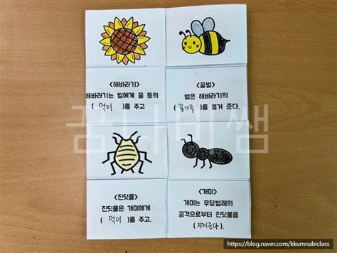 [2학년 통합 자연] 최고의 짝궁 서로 돕는 동식물 공생관계 생태교육 도안 제공 유튜브 영상 O 네이버 블로그