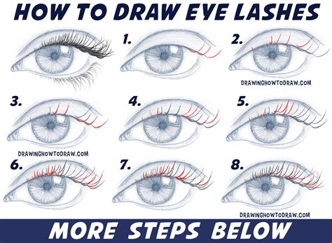 How To Draw Eyelashes Womens And Mens Easy Step By Step Drawing Tutorial For Beginners How