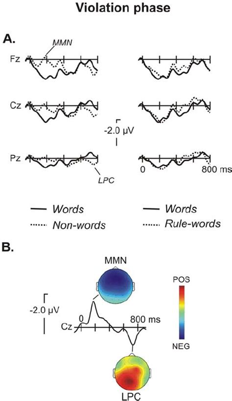 Illustration Of The Erp Results For The Recognition Phase A Erps