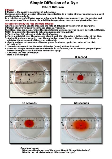 General Biology BIOL