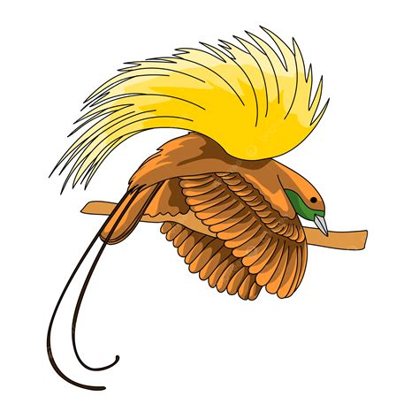 Vector Bird Of Paradise Perched On A Branch Bird Birds Of Paradise