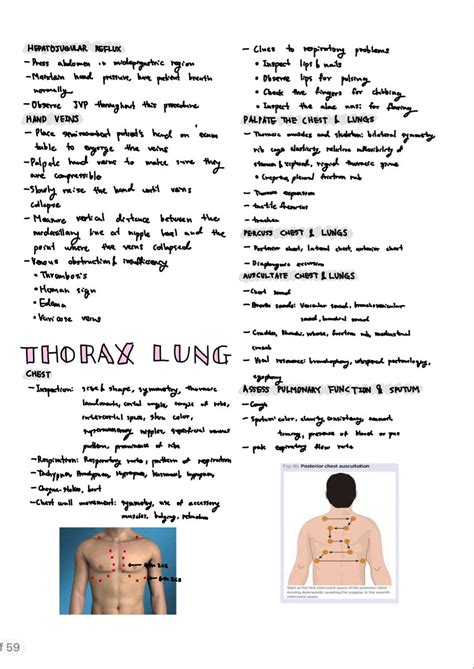 Physical Assessment Handouts Artofit