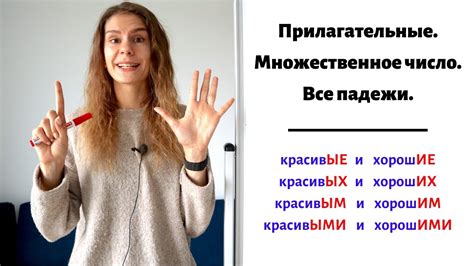 Склонение прилагательных во множественном числе Прилагательные