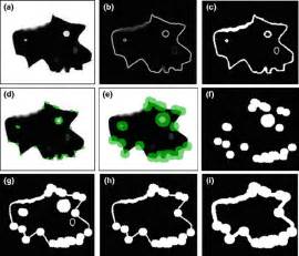 Extraction Of The Initial Binary Masks Using Gradient And Corner