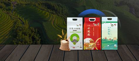 客户and案例 智能营销技术服务 盘古网络集团