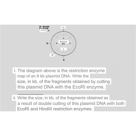 Solved I The Diagram Above Is The Restriction Enzyme Map Of