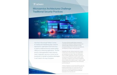 Microservice Architectures Challenge Traditional Security Practices