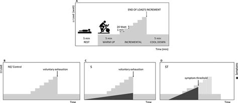 Schematic Representation Of The Graded Exercise Test Protocol A And Download Scientific