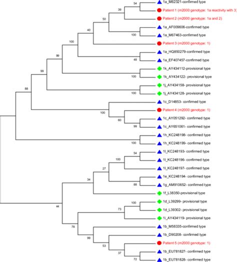 Tree Diagram Examples