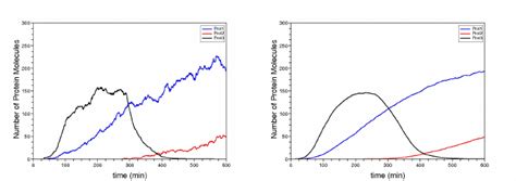 Spatial Distribution Of The Three Different Bacterial Colonies Over A Download Scientific
