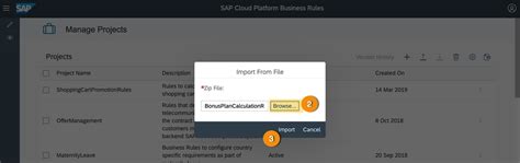 Import Business Rules With Custom Business Object Sap Tutorials
