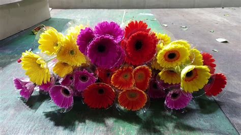 인터넷꽃도매시장 거베라ㅈㅎㅅ Youtube