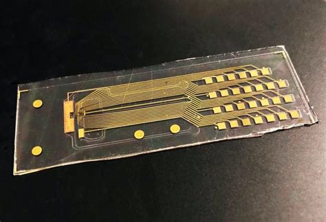 Создали устройство и нейросеть для управления стволовыми клетками человека — Журнал Код