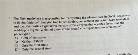 Solved The Dam Methylase Is Responsible For Methylating The