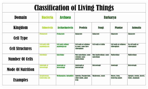 Domains And Kingdoms Worksheet Luxury Classification Of Living Things
