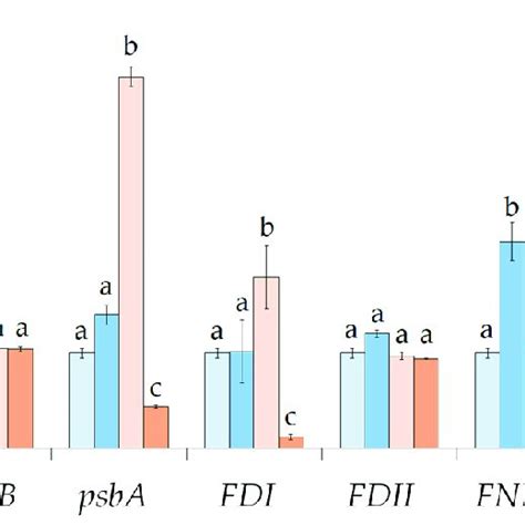 The Effect Of Salinity And Elevated Temperature And Their Interaction