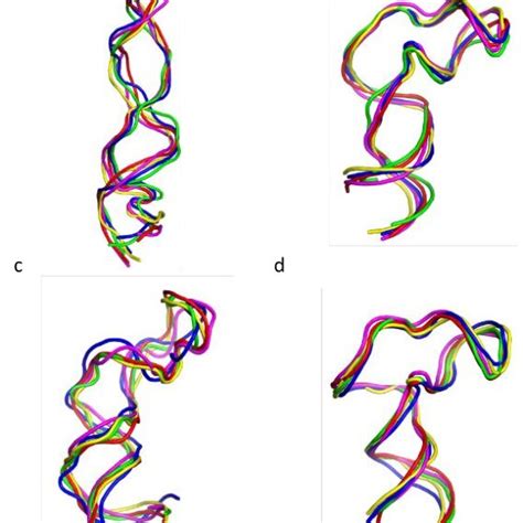 A Extracted 3 D Conformations Of The Serotonin Aptamer In The Absence