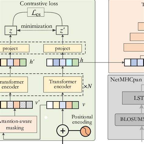 Hyperparameter Tuning Of The Fully Connected Layers For Downstream Task Download Scientific