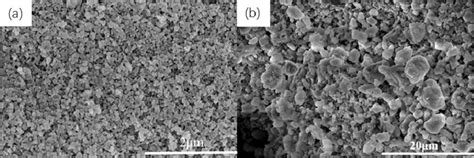 SEM Images Of Calcined Samples At C For H With Different Download Scientific Diagram