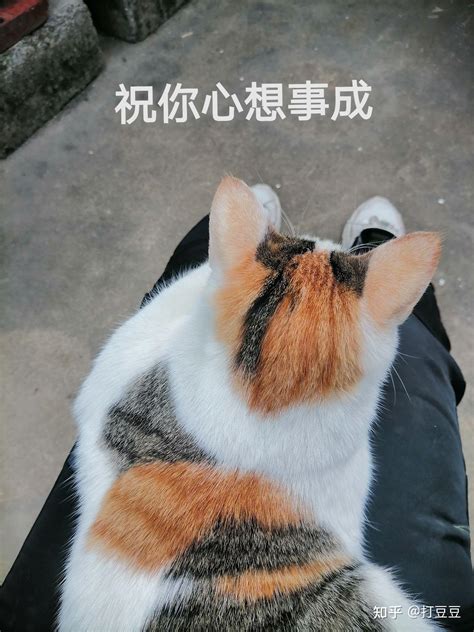 化妆品技术专业好吗？有利于成为500强化妆品研发工程师吗？ 知乎