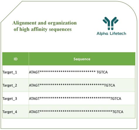 Aptamer Screening Platform Advanced Selection For Target Molecular Alpha Lifetech