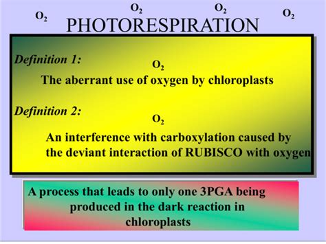 Photorespiration