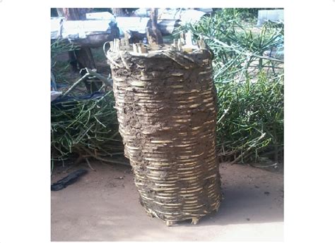 B Types And Placement Of Beehive Download Scientific Diagram