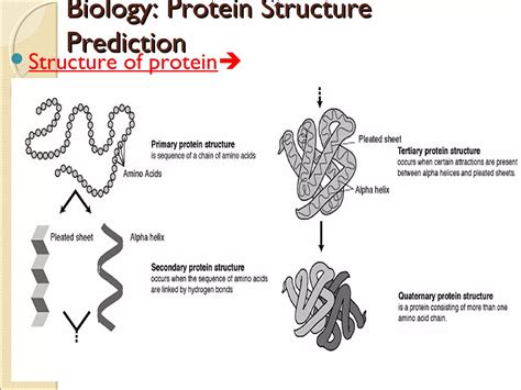 Biology Protein Structure In Cloud Computing Ppt
