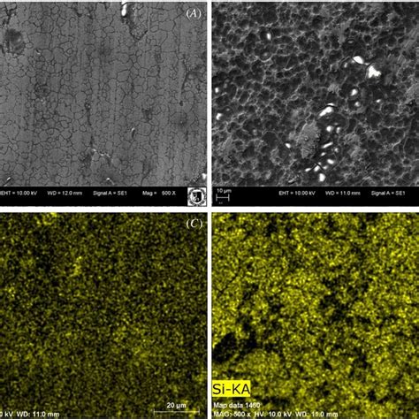 SEM Images A B And EDX C D Maps Of Silicon Distribution Download Scientific