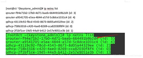 Openstack——neutron基本架构详解 Neutron架构 Csdn博客