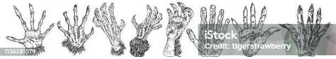조각 몬스터 손 세트 좀비 늑대 인간 드래곤 또는 뱀파이어 팜 손 긴 손톱 공격 제스처에 벡터 손에 대한 스톡 벡터 아트 및 기타 이미지 Istock