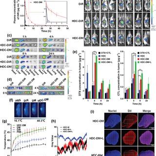 Characterization Of HDCDM A TEM Images Of HDC RV DM And HDCDM Download Scientific