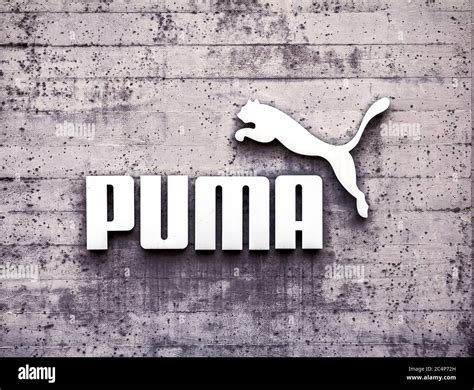 Puma Logo And Symbol Meaning History Png Brand Atelier Yuwaciaojp