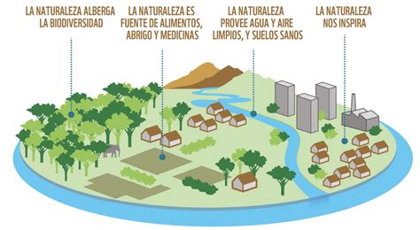 Informe Planeta Vivo Wwf