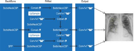 Scheme Of The Yolov5 Architecture As Convolutional Neural Network Download Scientific Diagram