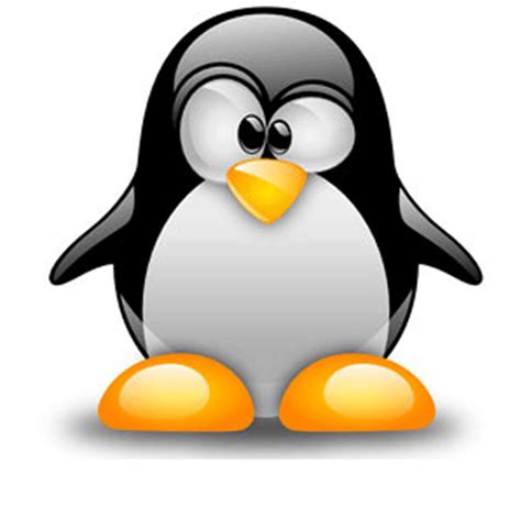 Linux Worm Darlloz Targets Routers Security Cameras And Set Top Boxes