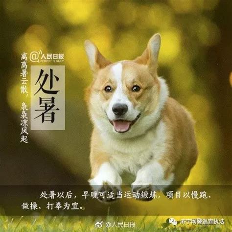 今日處暑秋意漸濃 每日頭條