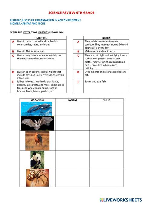 Ecological Niches Worksheets Library