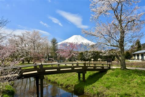 忍野八海：富士山泉水造就的神奇景观