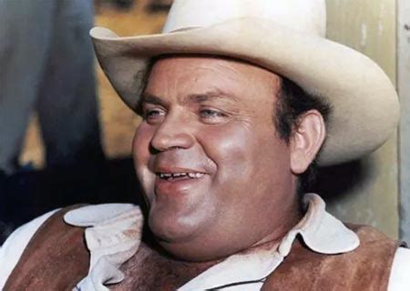 Bonanza La Serie 1959 1973 Música Paz Y Amor
