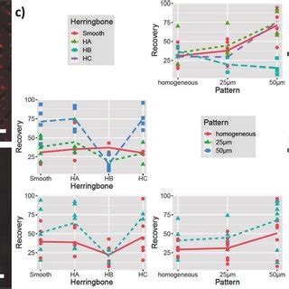 Captured Cells On A Microarray And Correlation Matrix Of Examined Chip Download Scientific